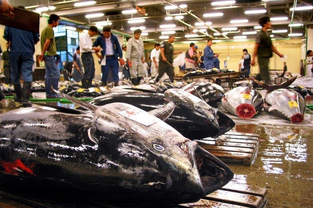 Piata de peste Tsukiji